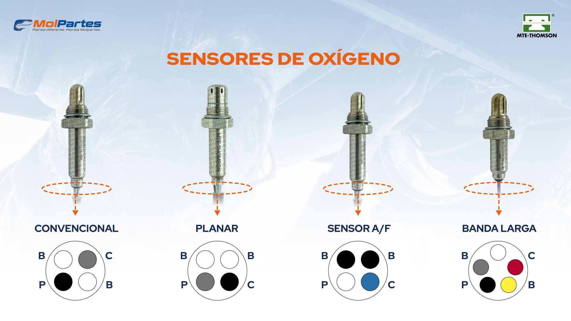 Guía completa: Sensores de Oxígeno | Molpartes SAS